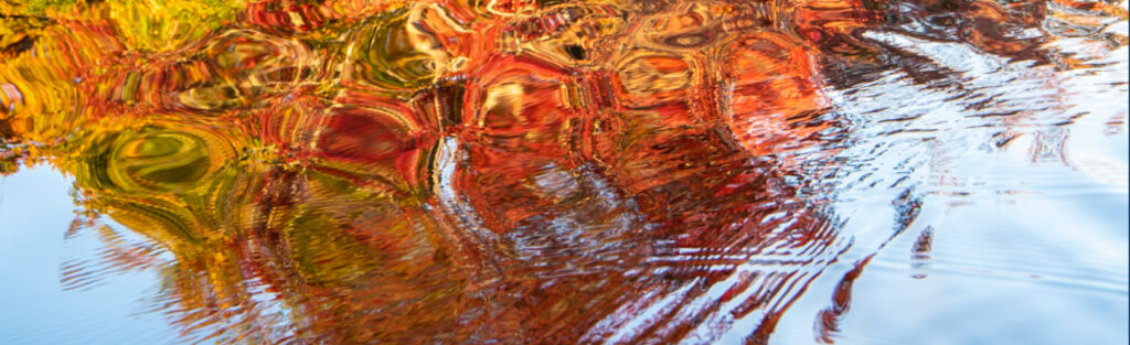 On Exhibit at the Garde | Garde Arts Center