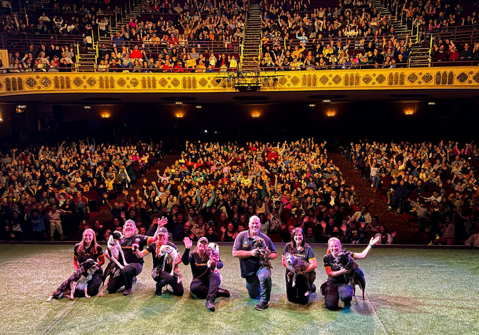 The Canine Stars | Garde Arts Center